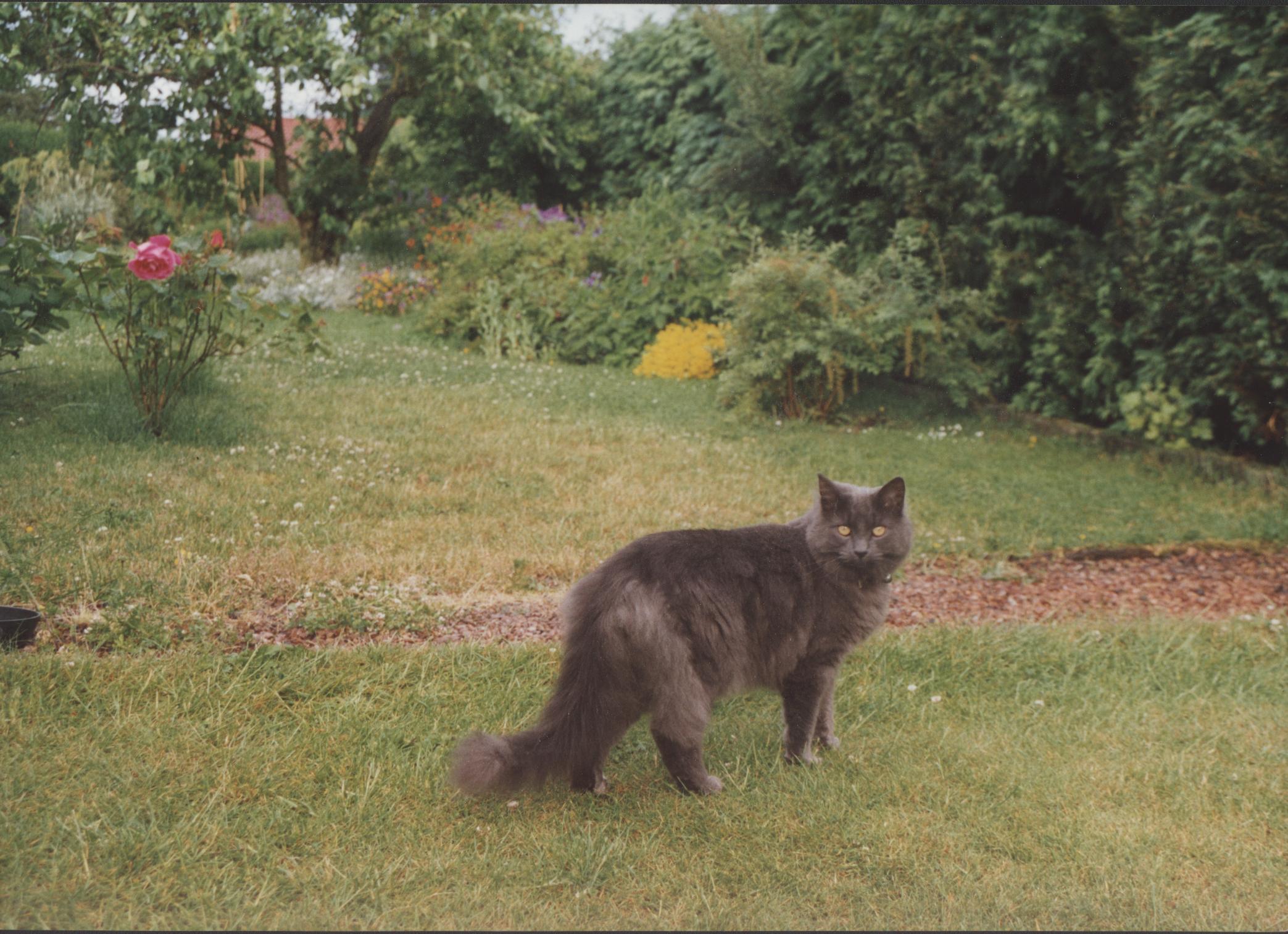 E S Fraga: Photographic Portfolio