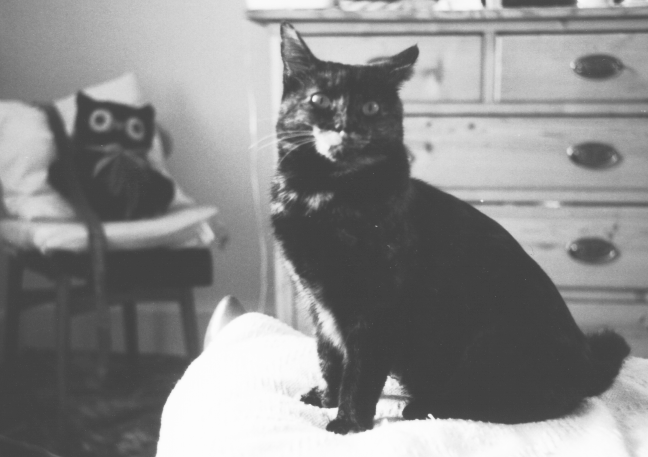 E S Fraga: Photographic Portfolio